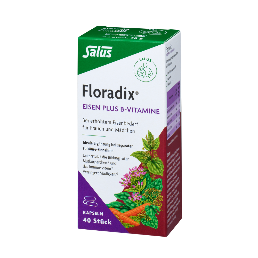 Floradix Eisen plus B-Vitamine Kapseln